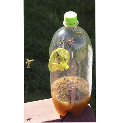 Bug-In-A-Bottle | Wackiest Yard and Garden Products | This Old House