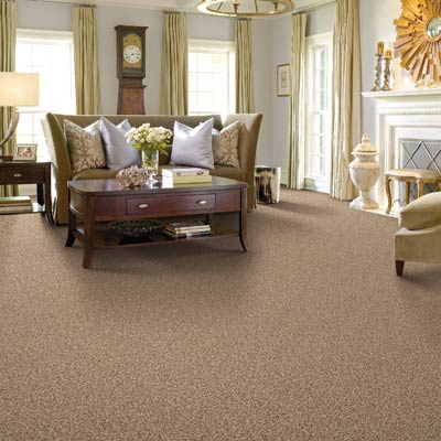 Polyester | Wall-to-Wall Carpet Buying Guide | This Old House